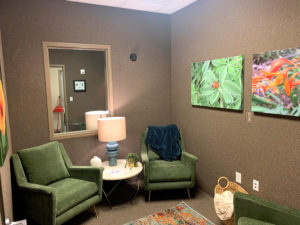 Soft Interview Room - MaestroVision - Audio & Video Management Solutions